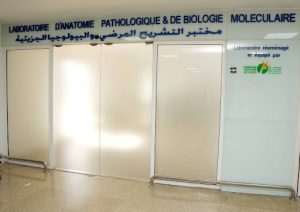 Anatomopathologie - Institut National d'Oncologie